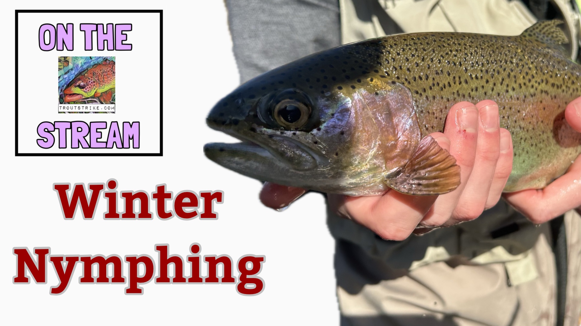 Winter Nymphing Tactics: How to Fish Two Nymphs | TroutStrike.com